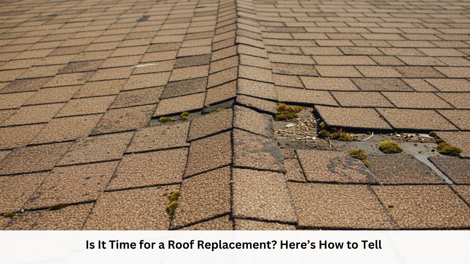 Is It Time for a Roof Replacement? Here’s How to Tell - MegaPersonals